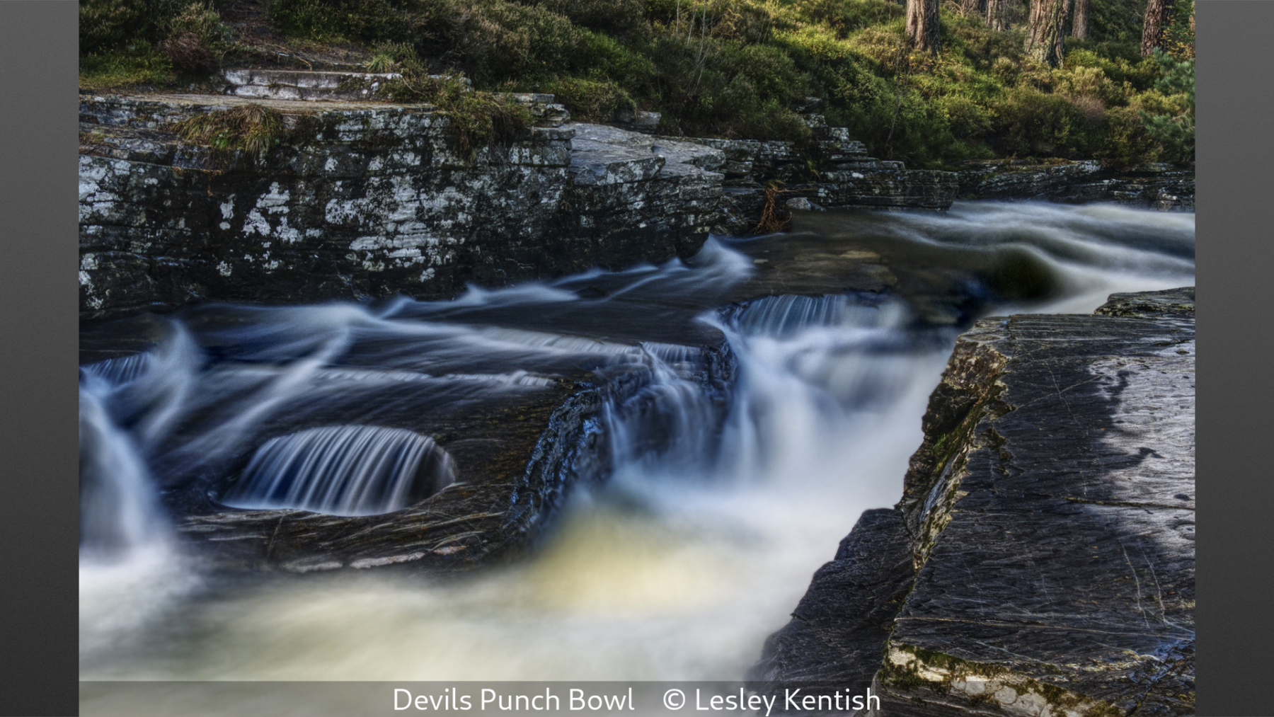 Deeside Camera Club – For those with a passion for photography